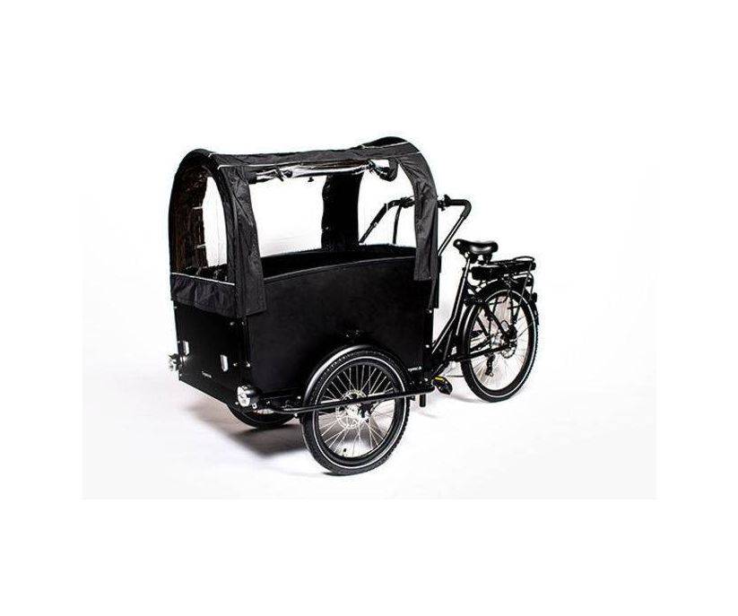 Cargokid Pro-Plus Curve Master: alle detaljer og sammenligning | Hvilken el ladcykel