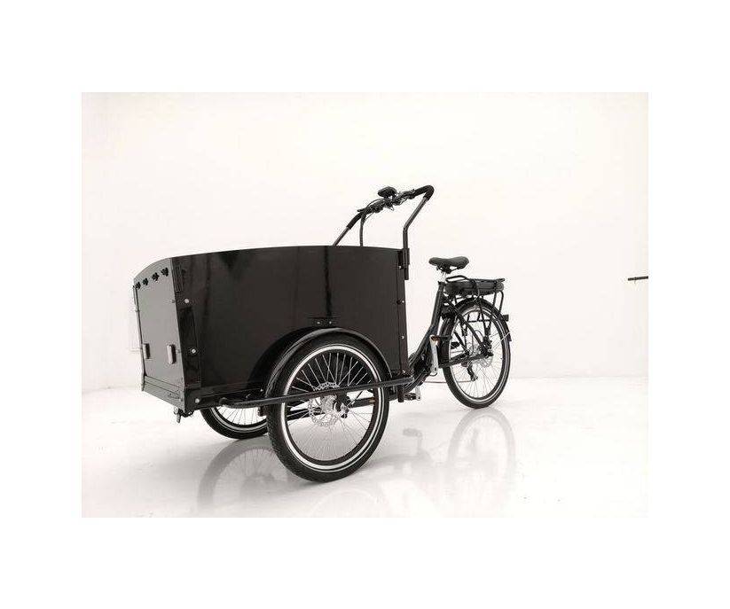 Cargokid Pro-Plus Curve Master: alle detaljer og sammenligning | Hvilken el ladcykel