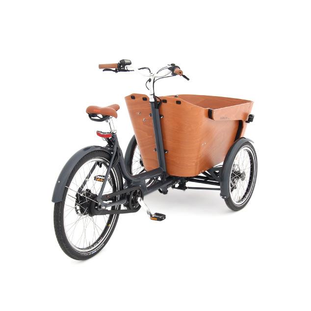 Babboe Flow Mountain: alle detaljer og sammenligning | Hvilken el ladcykel