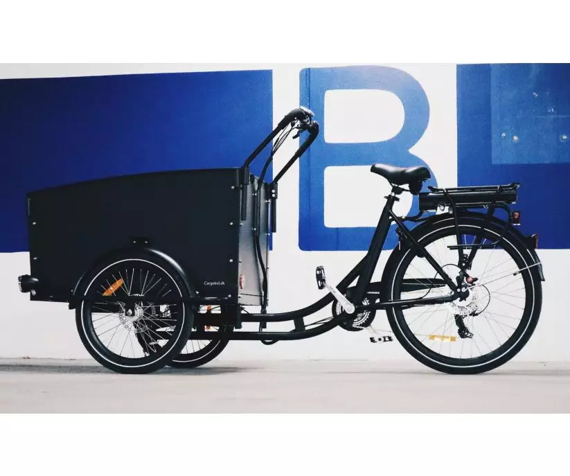 Cargokid Pro-Plus Curve Master: alle detaljer og sammenligning | Hvilken el ladcykel